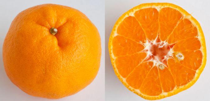 Cara pilih Limau Mandarin yang manis - MYKMU.NET