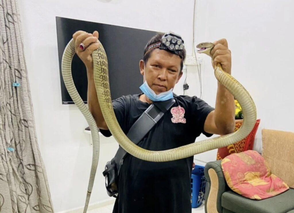 Tedung selar jenguk keluarga sedang bersiap untuk berbuka - MYKMU.NET