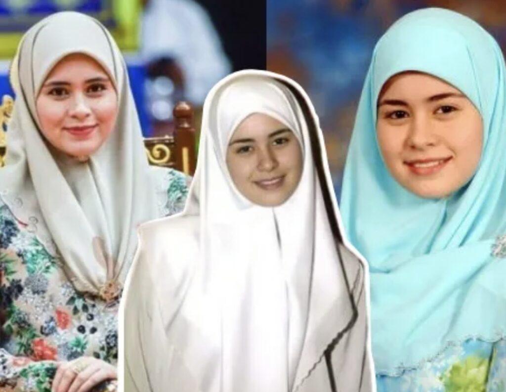 Pengiran Anak Sarah macam Lisa Surihani pun ada - MYKMU.NET