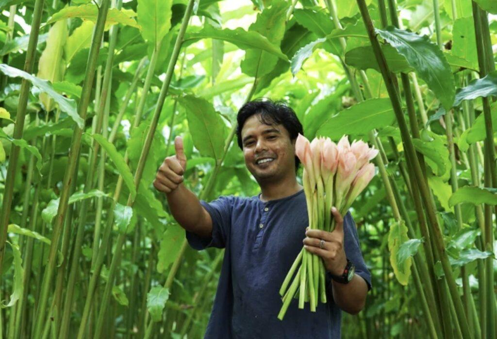 Tanam bunga kantan raih pendapatan 5 angka - MYKMU.NET