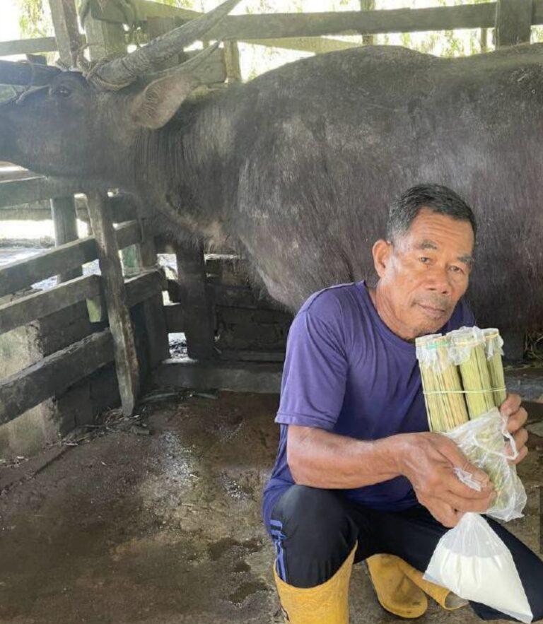 Permintaan yogurt Melayu semakin tinggi - MYKMU.NET